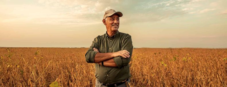 Fezes de Rato: Como Identificar, Riscos e Medidas de Prevenção